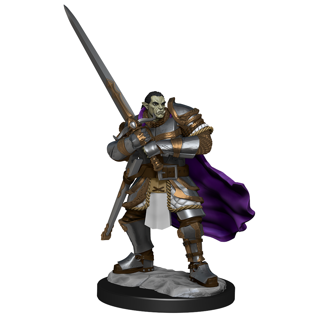 Half Orc Pathfinder Paladin